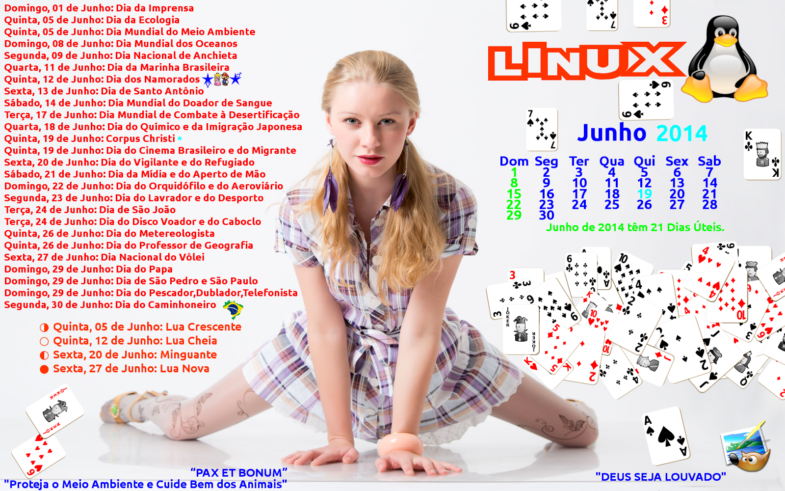 superlinuxmg-br: Ella Pasjakina Calendário Junho 2014 Promo-Gimp-Linux"[1920x1200]"-0004